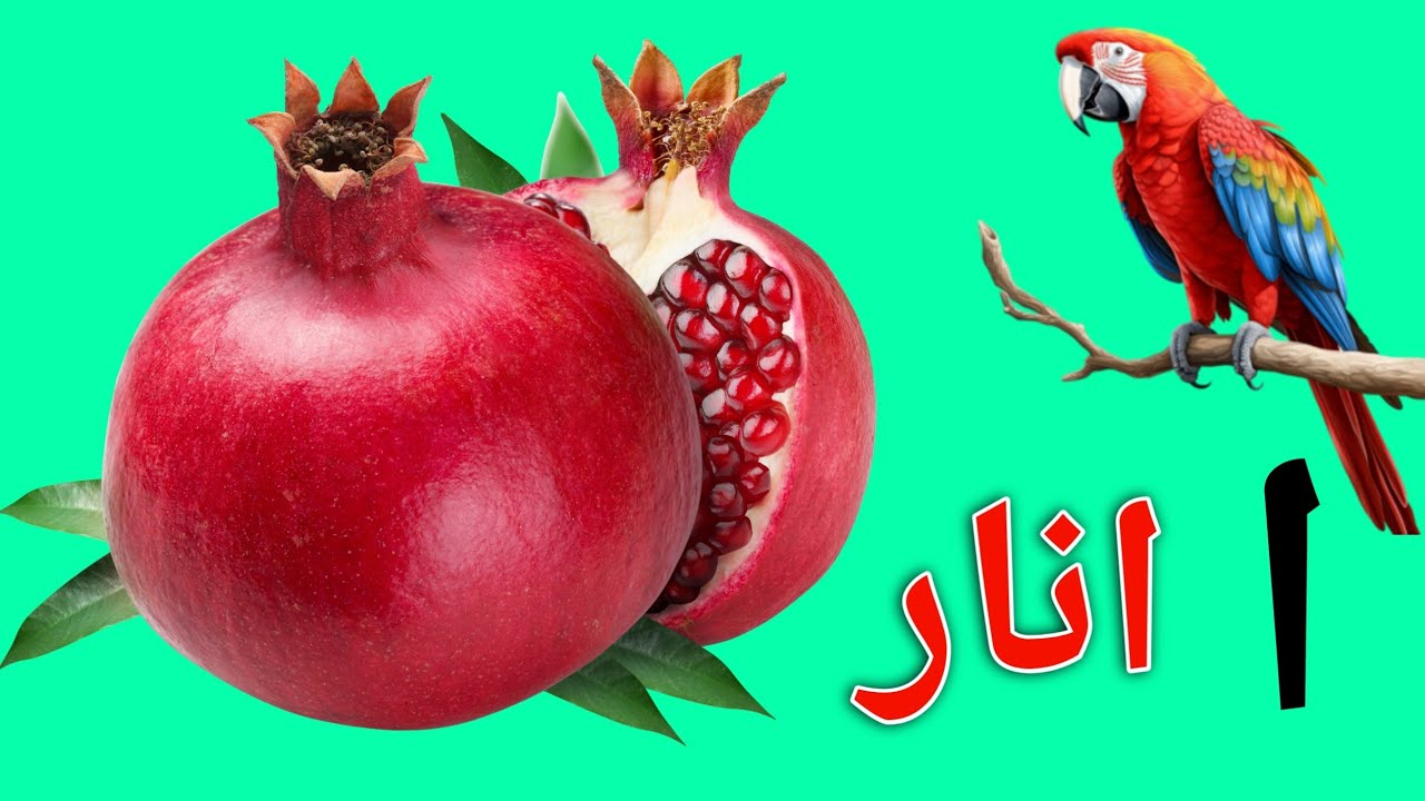 A Se Anar,Cartoons on,Cartoon Video,A To Z Alphabet,Online Classes ...