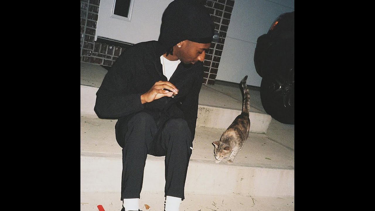 [FREE] protect + ballhog + sample type beat - "limerence" - YouTube