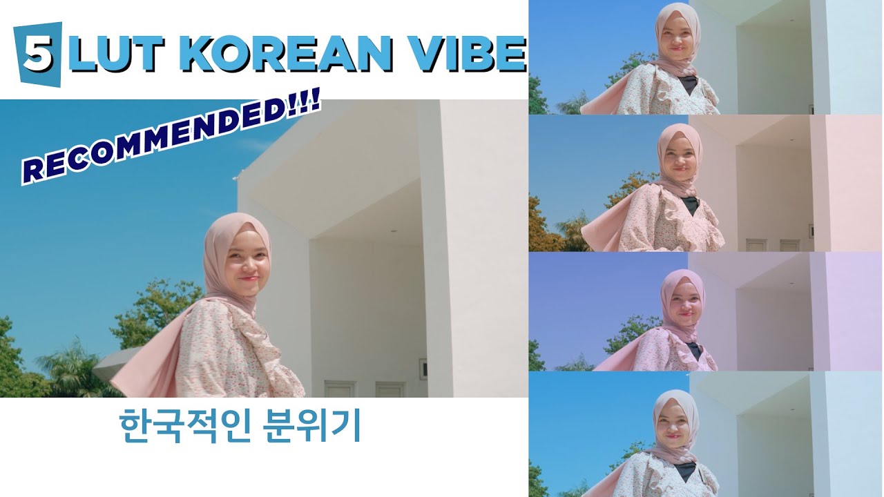 5 LUT KOREAN YANG WAJIB KALIAN COBA!!! || PREMIER PRO 2021 || SONY ...