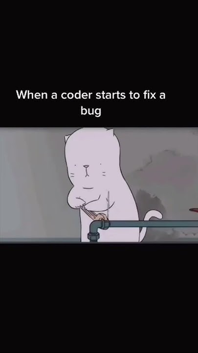 When coder start to fix a Bug! - YouTube