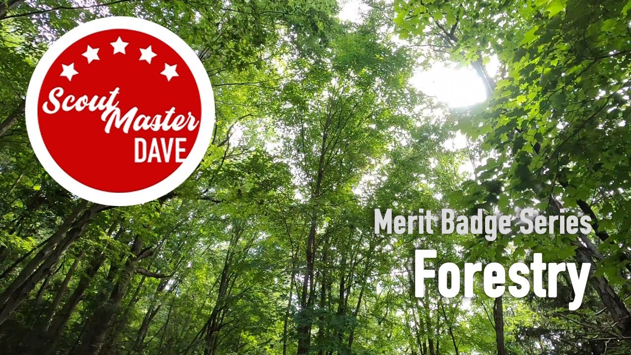 🌲 Forestry Merit Badge Overview | ScoutMaster Dave - YouTube