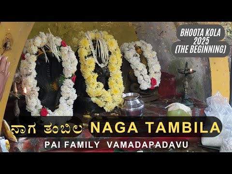 NAGA TAMBILA I ನಾಗ ತಂಬಿಲ I PAI FAMILY VAMADAPADAVU BHOOTA KOLA 2025 I ...
