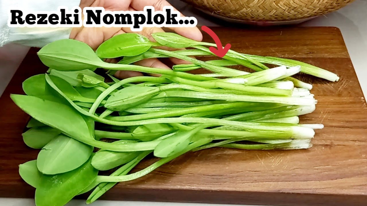 GENJER SAWAH YANG SANGAT ENAK...CARA MEMASAK TUMIS GENJER TERASI TEMPE ...