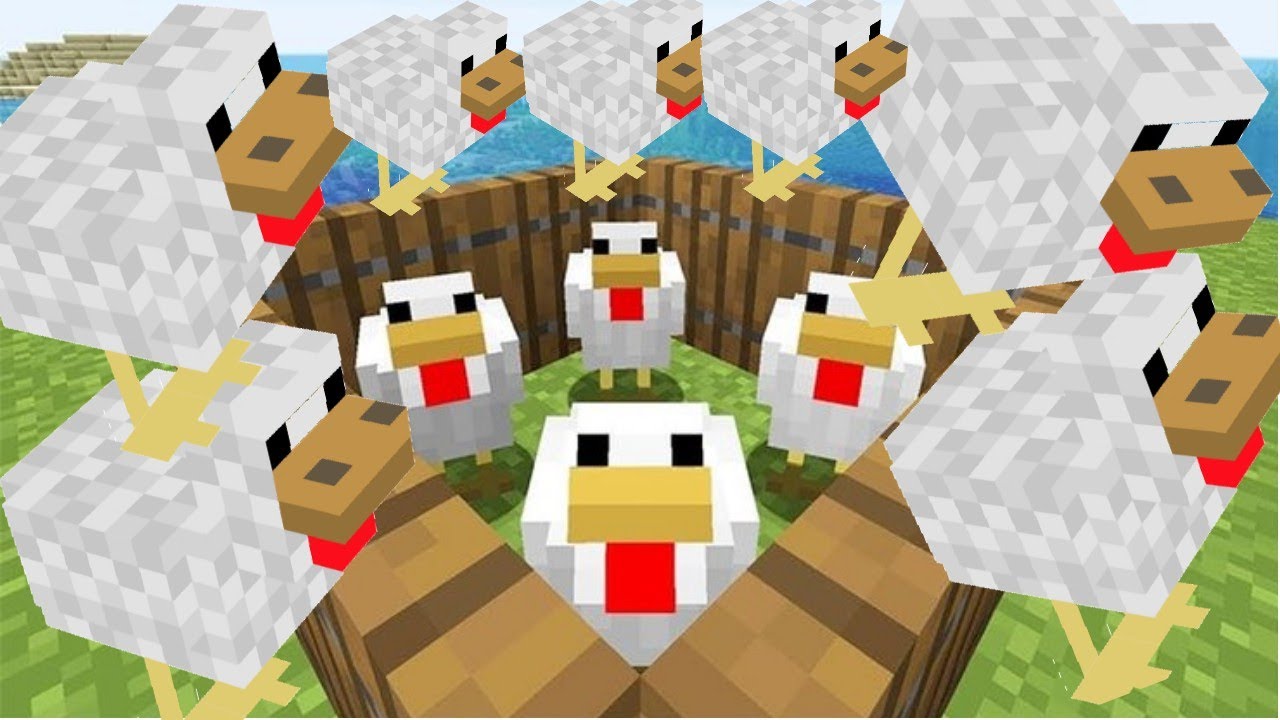 CHICKENS, CHICKENS, CHICKENS!!! Minecraft Part 8 - YouTube