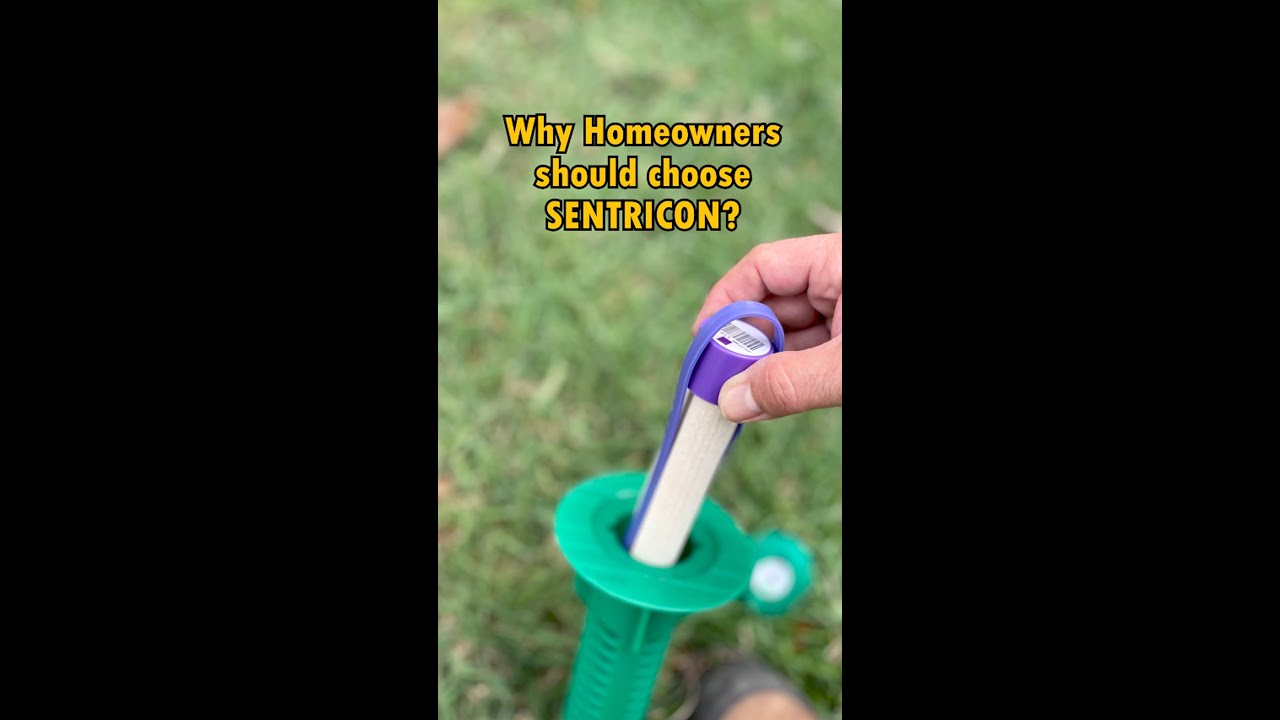 SENTRICON - Why You Should Use Sentricon To Get Rid of Termites? - YouTube