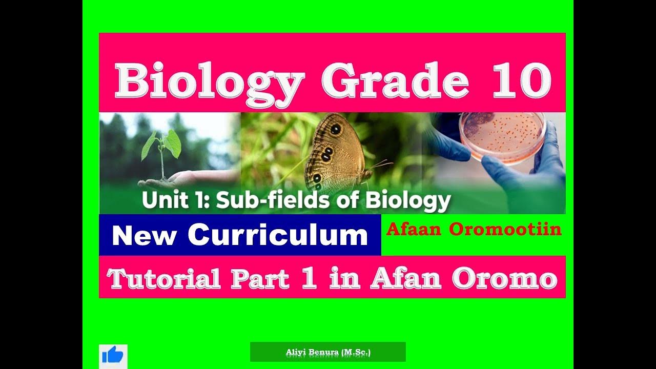 New Curriculum Biology Grade 10 Unit 1 Sub-fields of Biology Tutorial ...