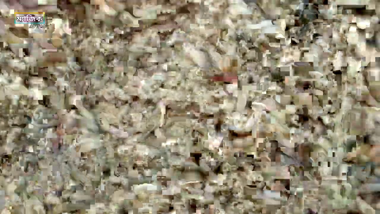 Insect breeding grounds. How insects grow. - YouTube