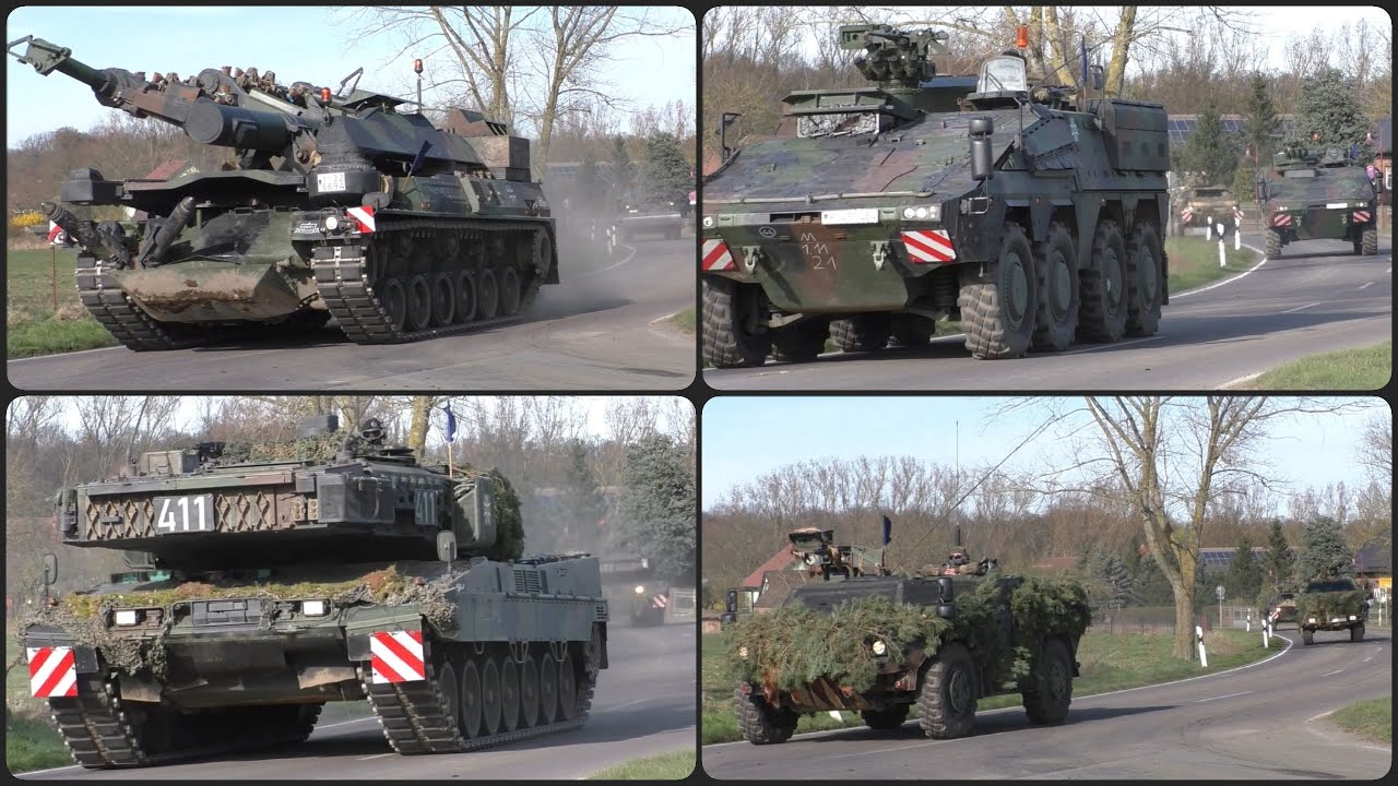 Leopard Keiler Leguan Dachs Boxer Fuchs Dingo Fennek Eagle Büffel ...