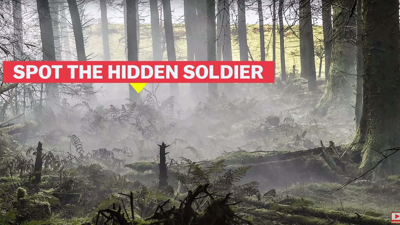 Invisible Troops: The Ultimate Military Advantage - YouTube