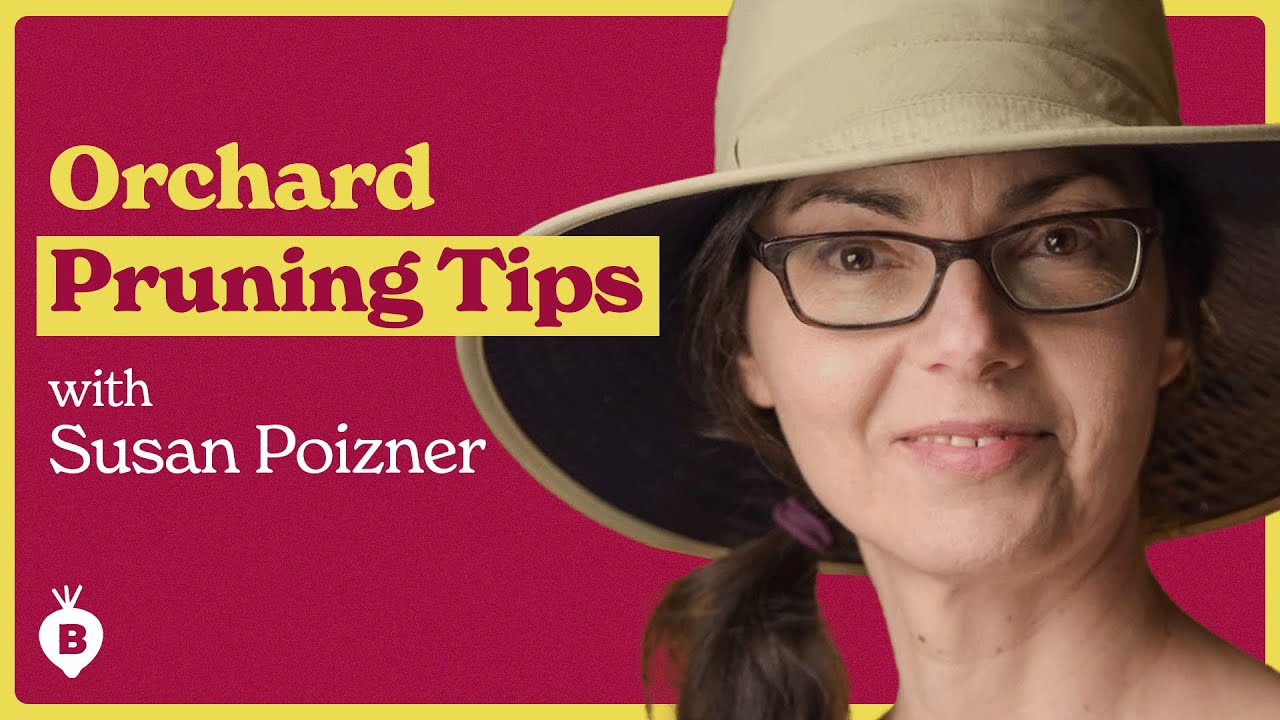 Start An Urban Orchard with Susan Poizner | The Beet - YouTube