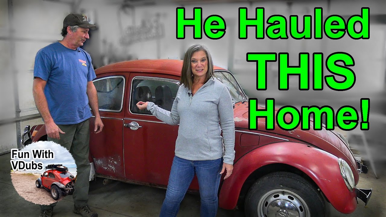 We Bought a Volkswagen Beetle / Our New VW Bug Build - YouTube