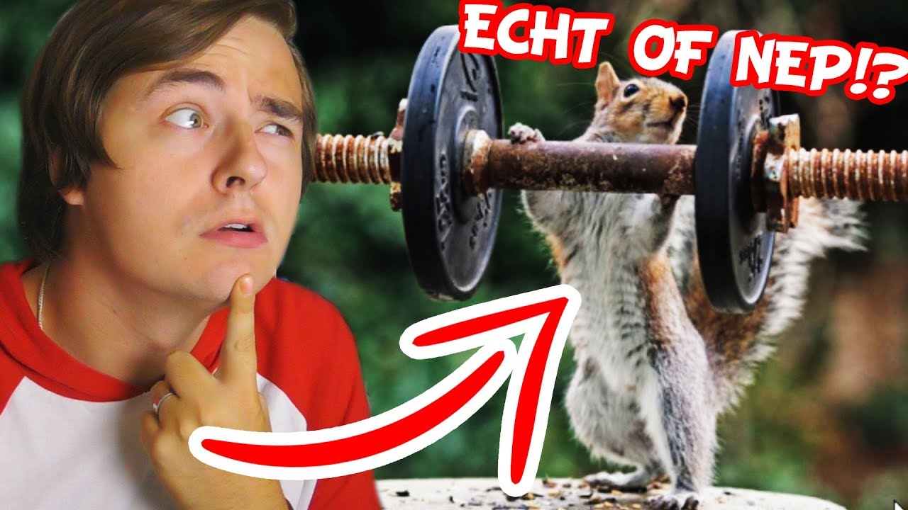 IS DIT ECHT OF NEP!? - YouTube