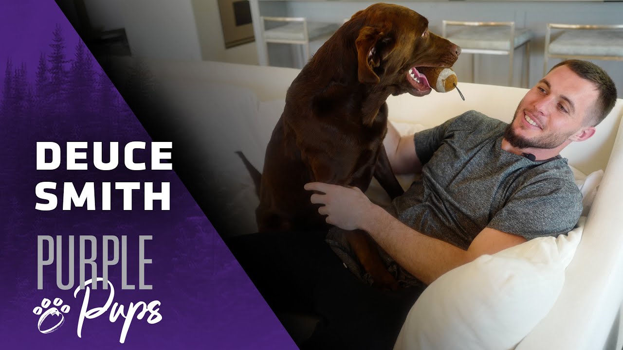Purple Pups Featuring Harrison Smith | Minnesota Vikings - YouTube