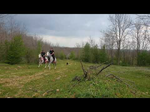 DÖRTNALA AT BİNME SLOWMOTİON