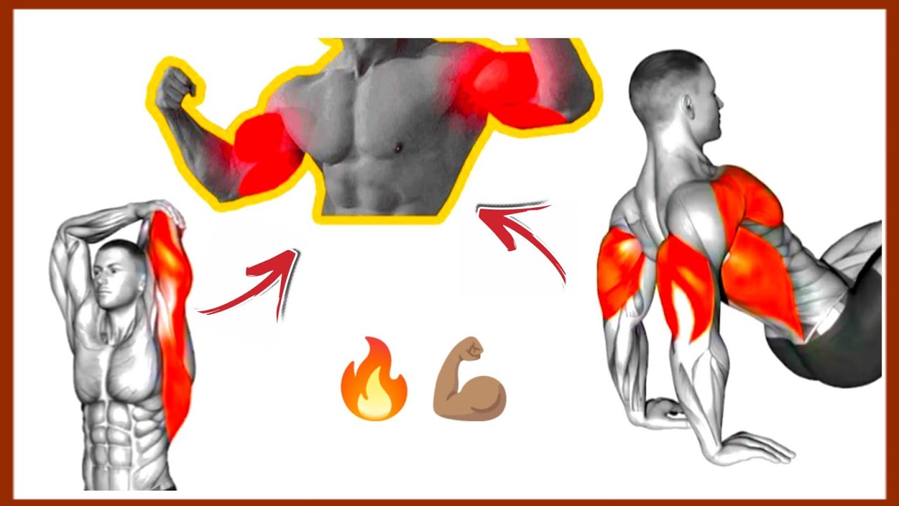 Arm Advanced (Home exercises) || Workout Plus - YouTube