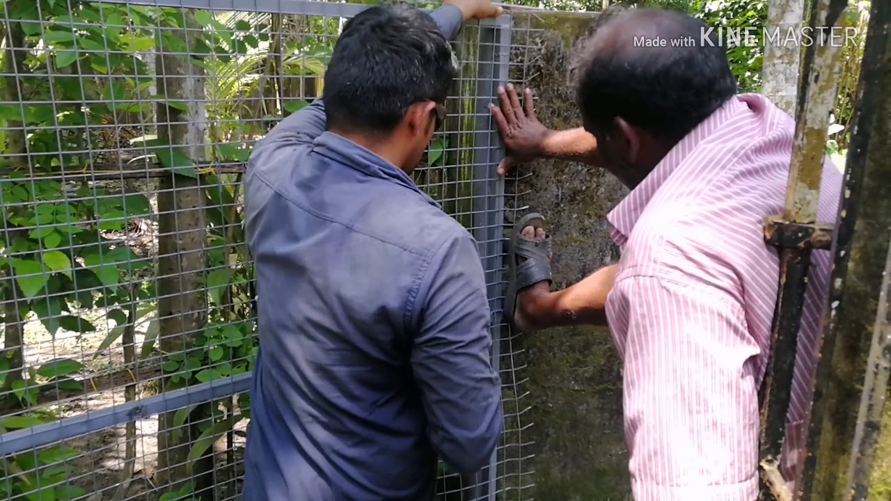 Farm setup part 2... Compound wall @ low cost - YouTube