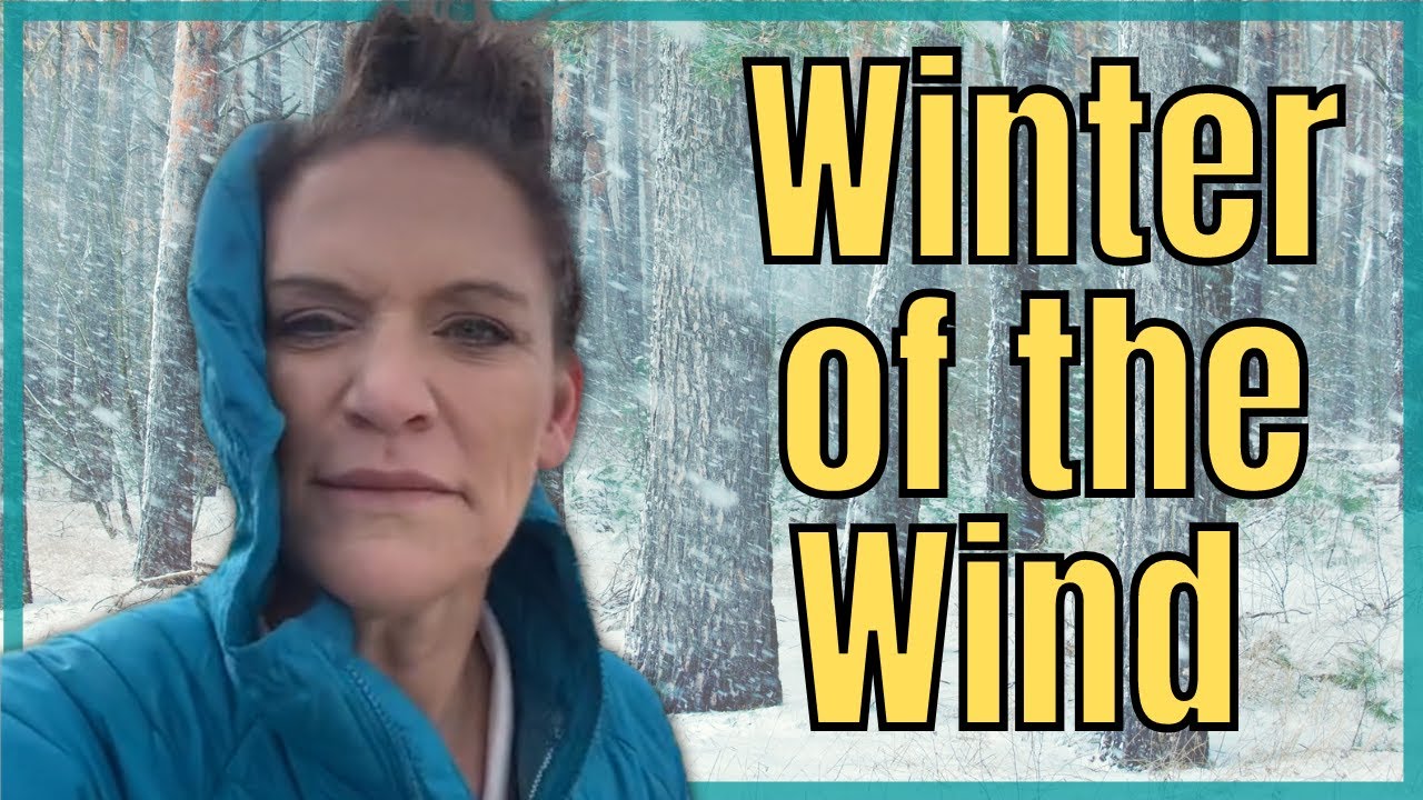 No it’s not windy, it’s just winter! – Alisha Collins Real Estate Team