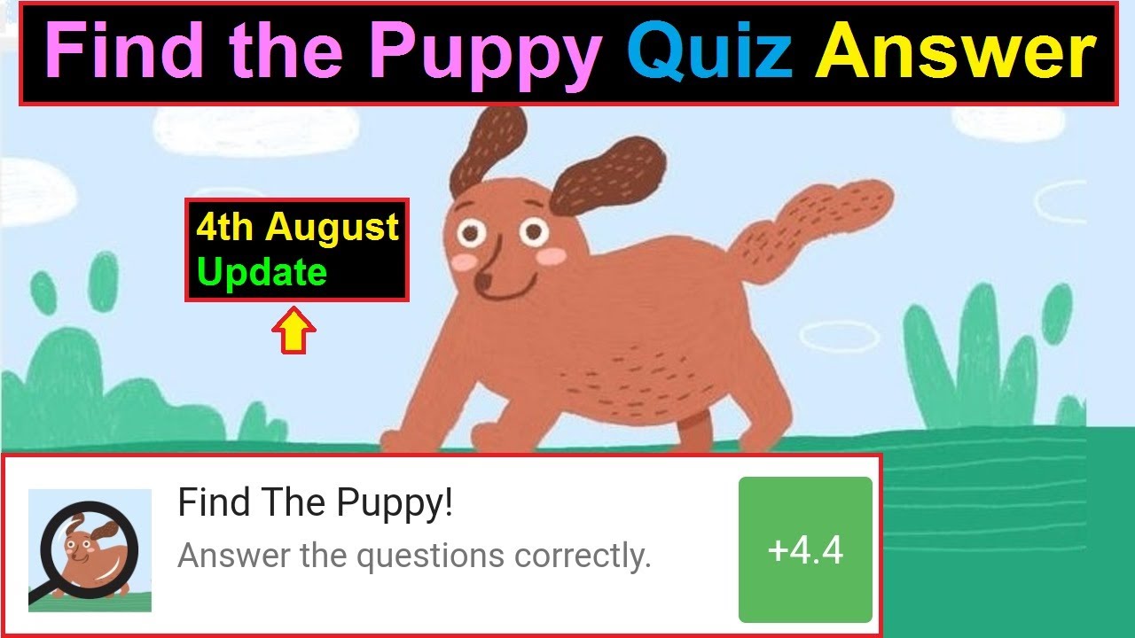 Find the Puppy Quiz Answers | 4th August update | Videoquizstar - YouTube