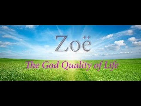 IMG 0510 Zoe verses Psuche life - YouTube