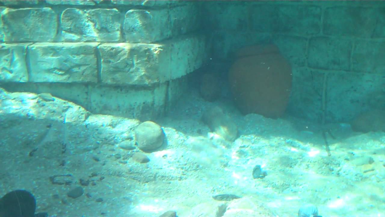Underwater Castle footage - YouTube