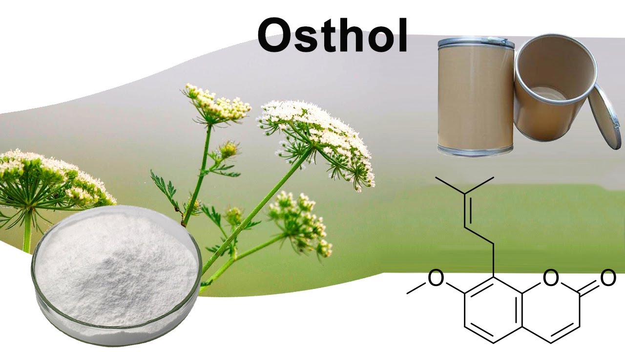 Osthol(Osthole) CAS 484-12-8 Health-Care Supplement Applicaiton ...