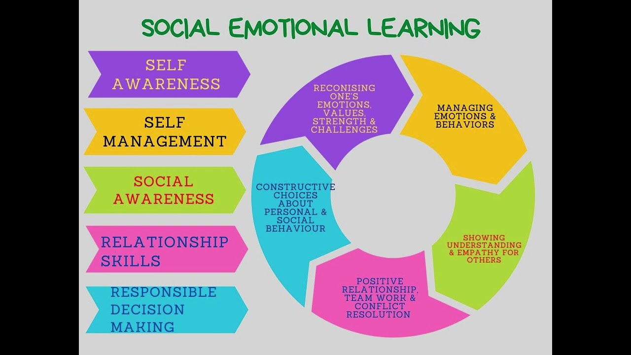 CASEL FRAMEWORK OF SEL - YouTube