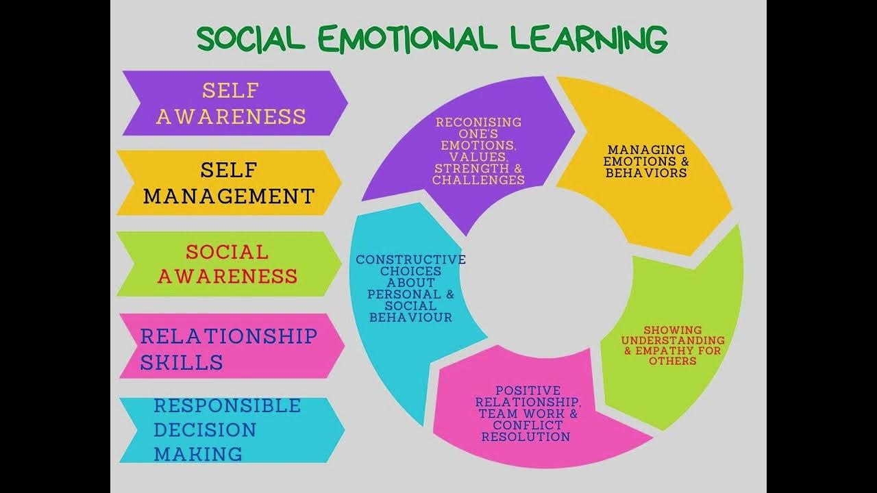 CASEL FRAMEWORK OF SEL - YouTube