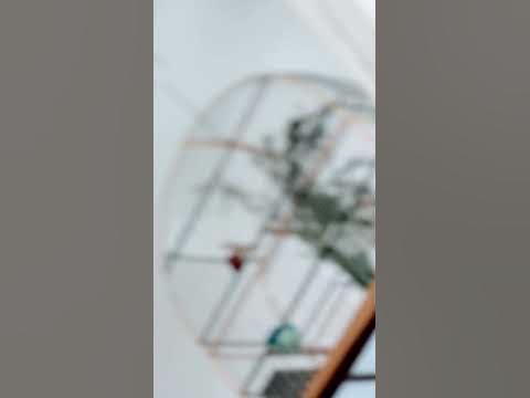 Picolet pie pie - YouTube