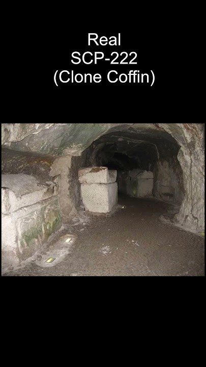 SCP-222 | Clone Coffin (SCP Library) - YouTube