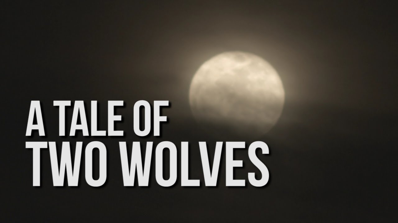 A Tale of Two Wolves - YouTube