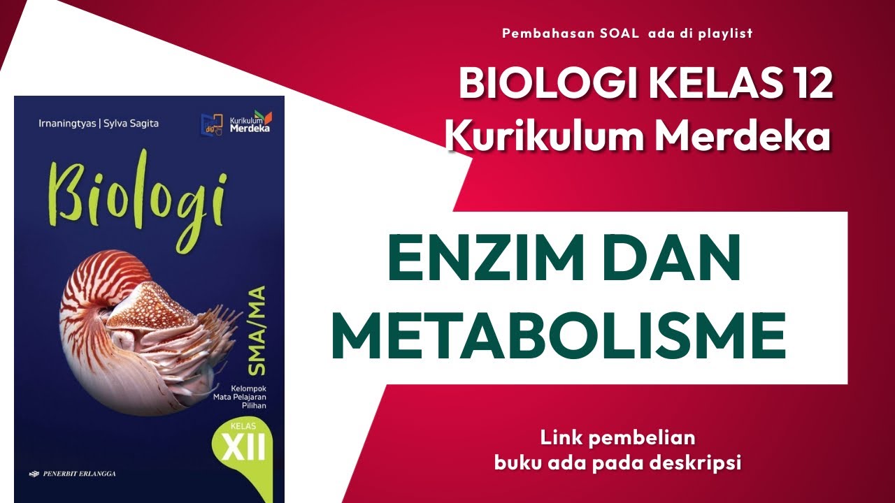 Katabolisme Karbohidrat dengan Respirasi Aerob BIOLOGI KELAS 12 ...