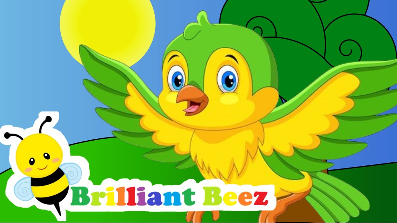 The Parrot | New Kids Poem #kidsvideo - YouTube
