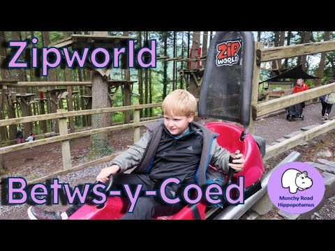 Thrills and Twists: The Fforest Coaster Adventure at Zip World Betws-y ...