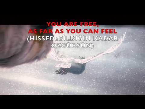 👉YOU ARE FREE, AS FAR AS YOU CAN FEEL... Legend of the guardians (2010)- Baykuş Krallığı Efsanesi...