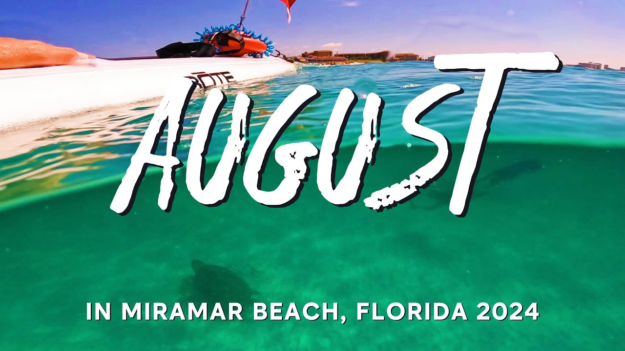 BEST OF AUGUST 2024 - YouTube