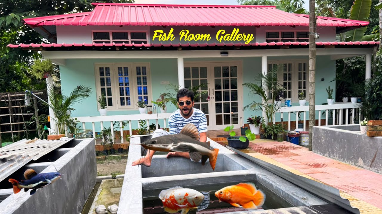 My Fish Room Gallery Part 4 Update ️🥰🔥 - YouTube