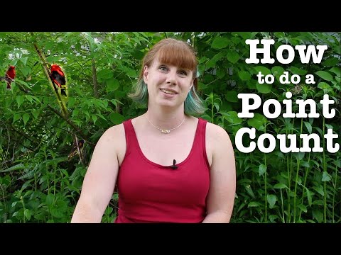 Backyard Science: How to do a bird point count - YouTube