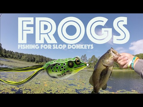 FROG FISHING FOR SLOP DONKEYS FLOG #3 - YouTube