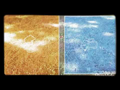 آهنگ سکوت محسن یگانه  با صدای سلطان علی