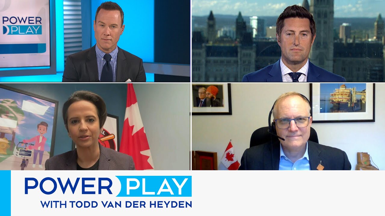 Panel: 'Real muscle' needed to halt food price hikes in Canada | Power ...