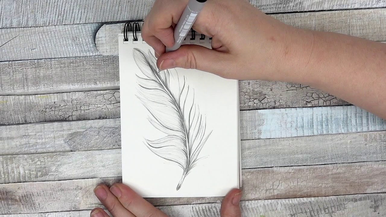 Draw a fine, elegant feather with new Uni-PIN grey fine-line pens - YouTube