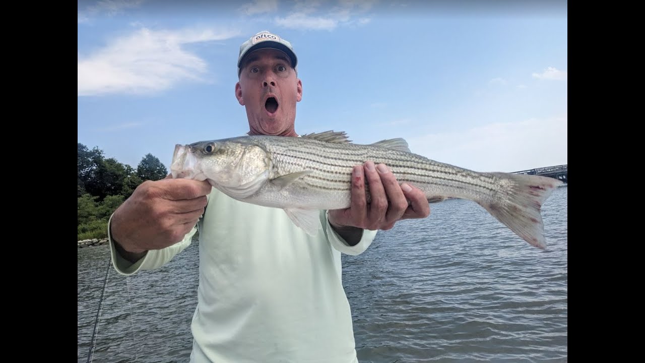 LOKEY BEST OF THE YEAR (Funny Moments) - YouTube
