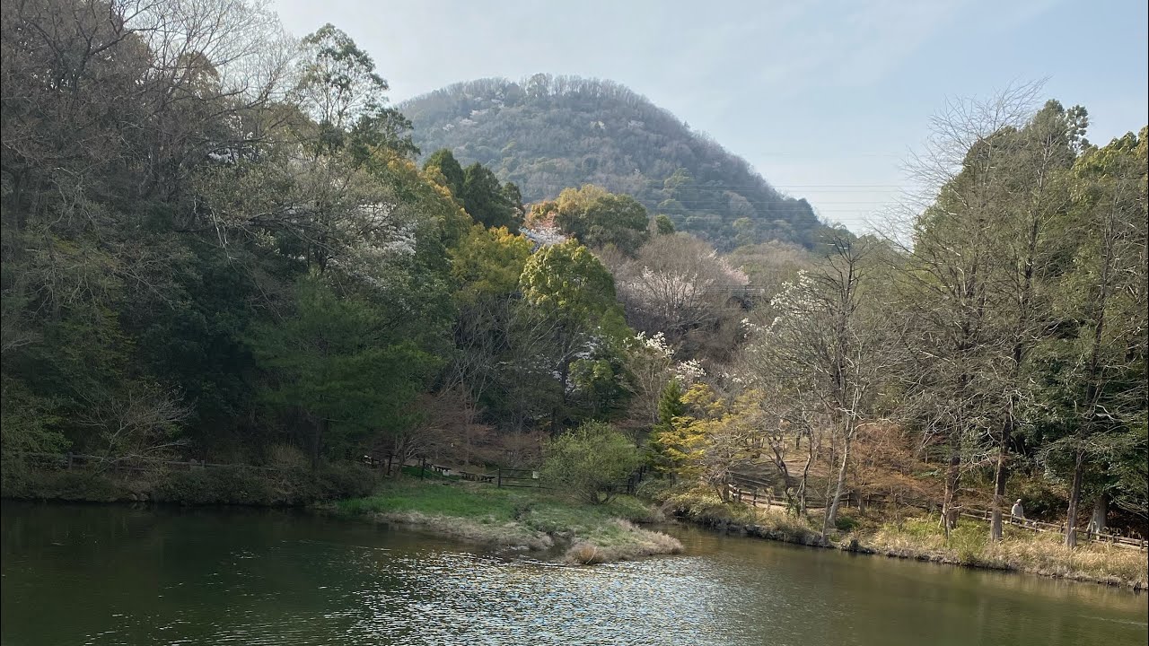「nature call You 🌳🍃」 - YouTube