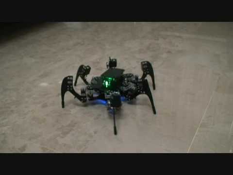 A six-legged walking robot with body movements and different walking ...