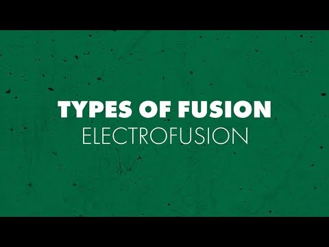 Types of Fusion: Electrofusion - YouTube