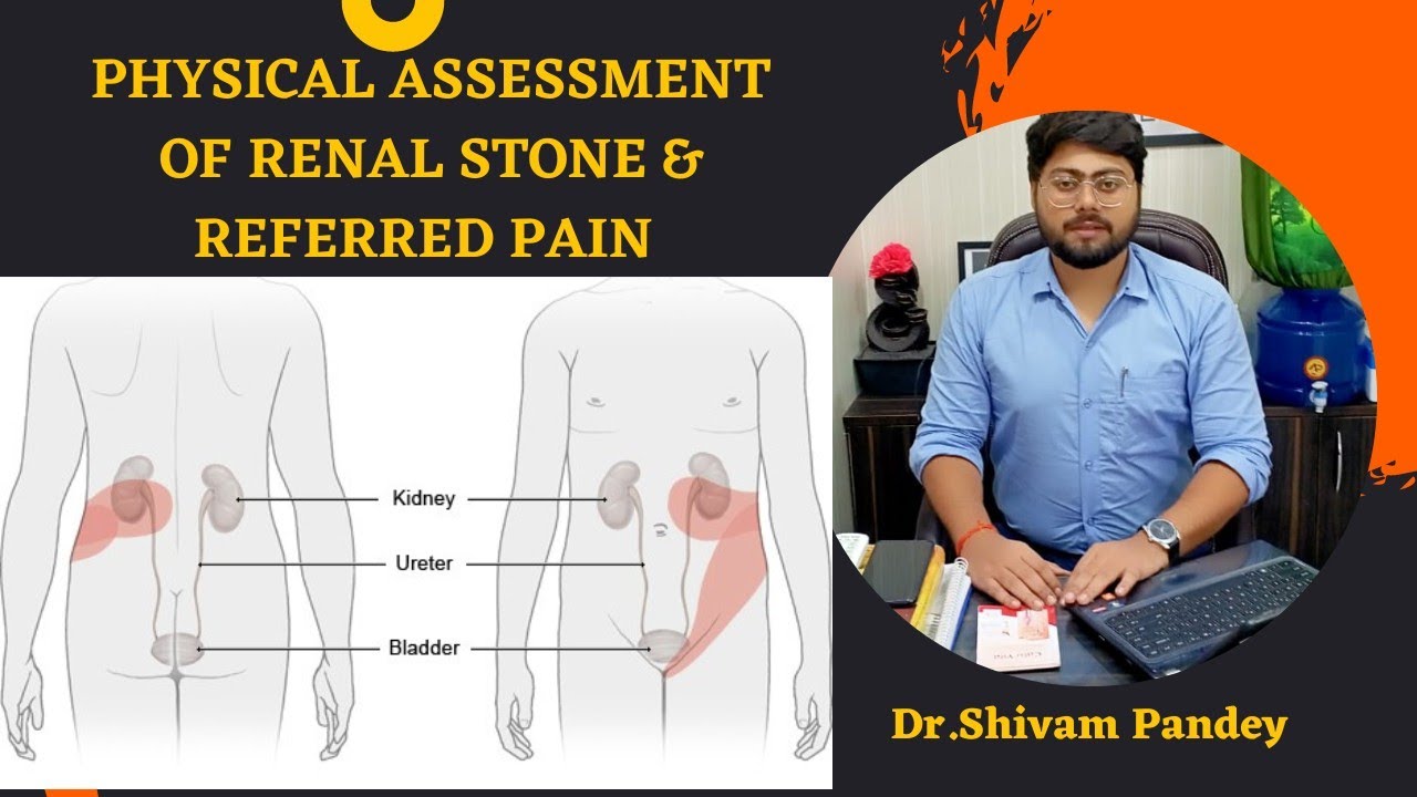 PHYSICAL EXAMINATION/ASSESSMENT OF RENAL STONE|| REFERRED PAIN OF RENAL ...