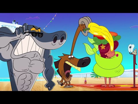 Zig & Sharko | Sharko my hero | BEST CARTOON COLLECTION | New Episodes in HD