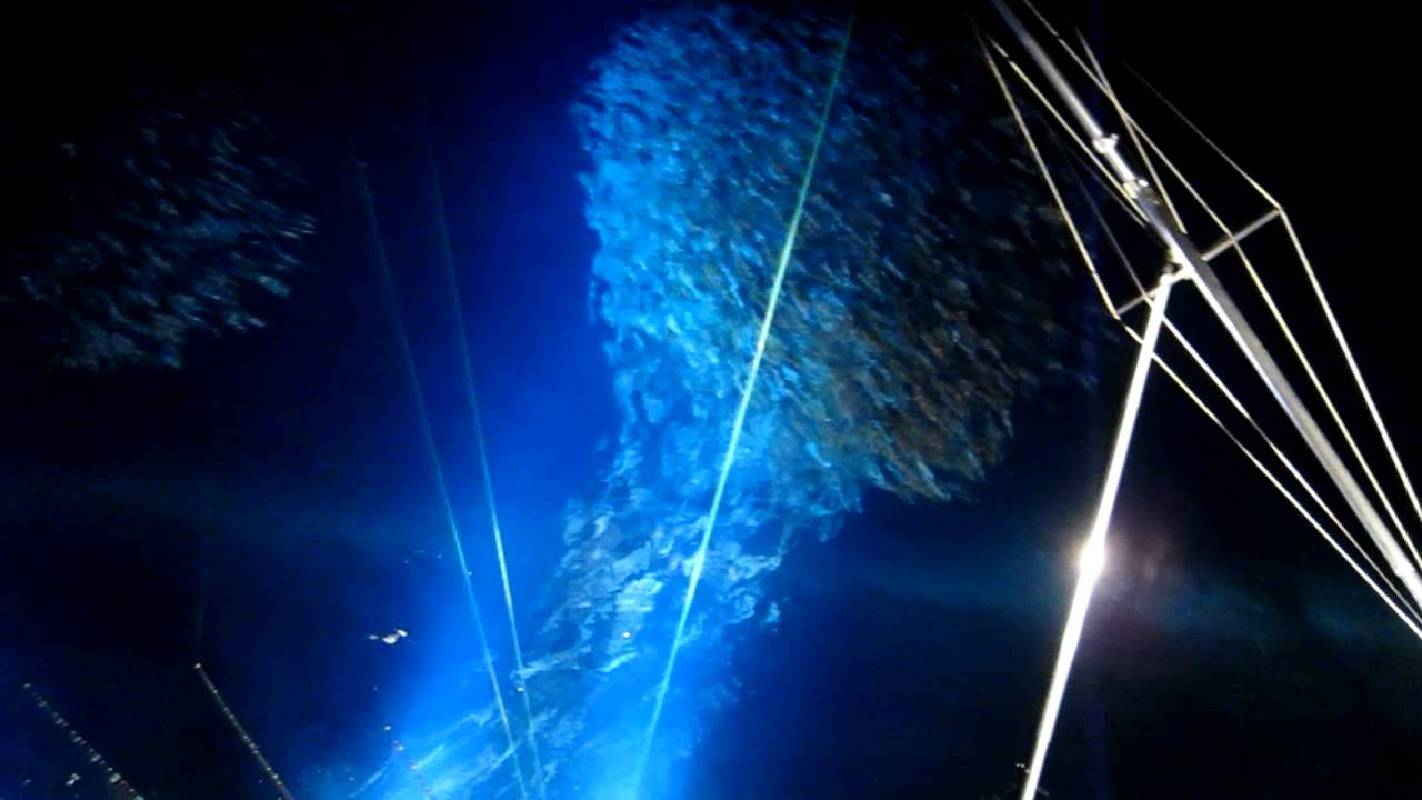 Squid slaughter at Fish Tails - YouTube