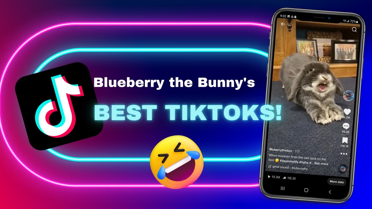 The Best FUNNY BUNNY TikTok Compilation! Guaranteed to make your day ...