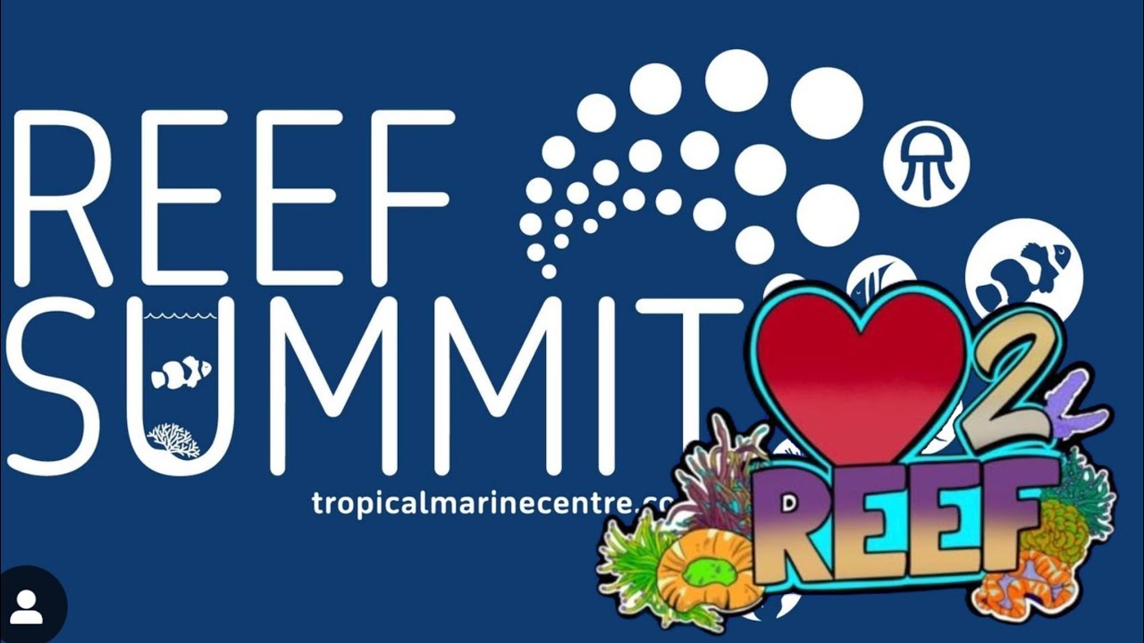 Love 2 [de-b]Reef - Reporting Back on a UK Coral Show |The Prestige ...